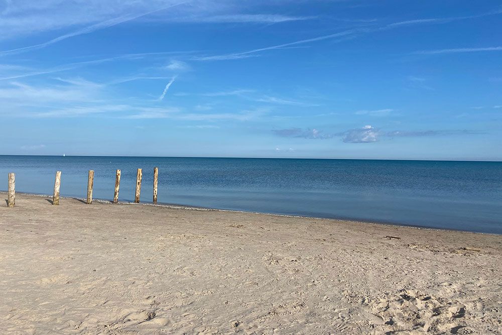 Enjoy Great Lakes through virtual field trips